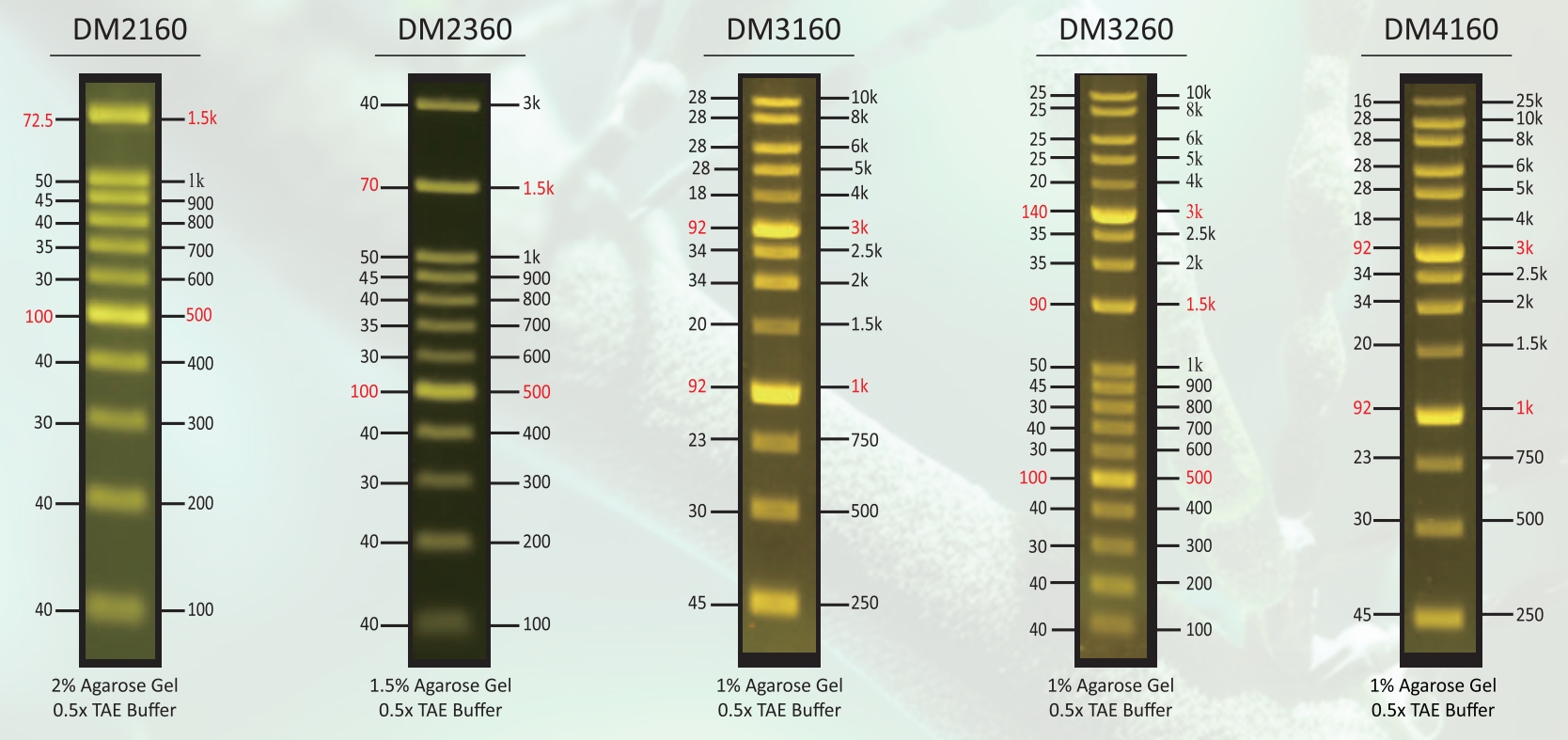 SMOBIO DNA Markers and Protein Ladders – 翰新國際有限公司-Beckman Coulter流式細胞儀 ...