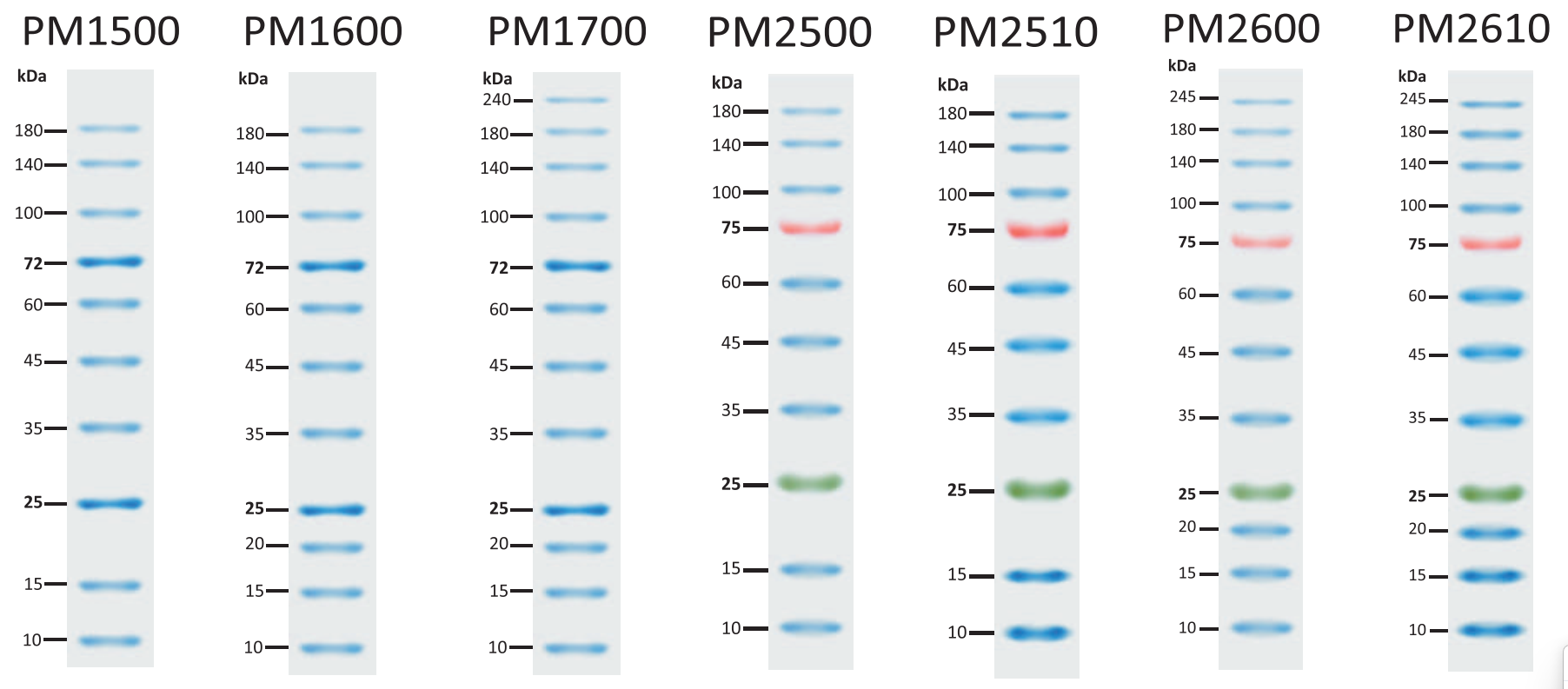 SMOBIO DNA Markers and Protein Ladders – 翰新國際有限公司-Beckman Coulter流式細胞儀 ...